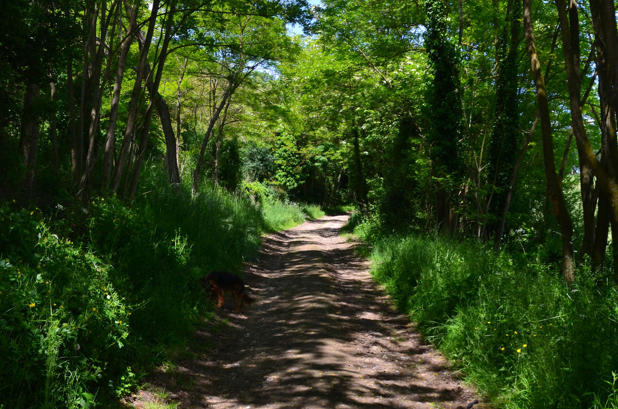 Hiking in Eure Valley | Champ de l'être